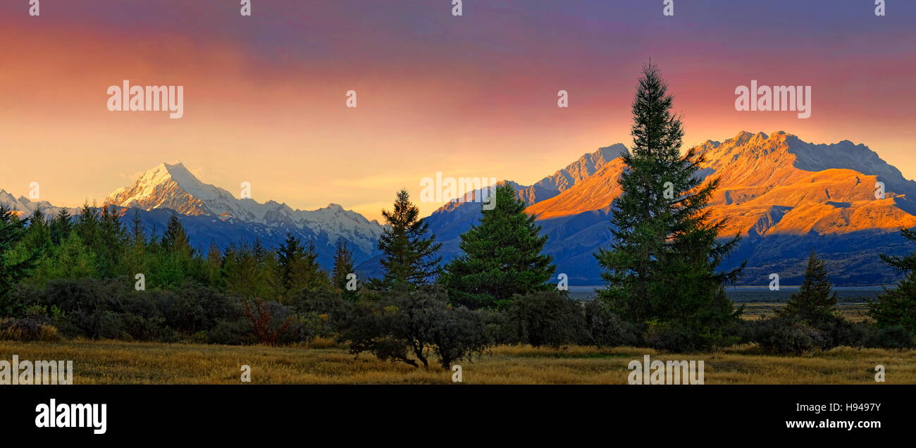 Snowy peak of Mount Cook, Aoraki and bush landscape at sunset, Mount ...