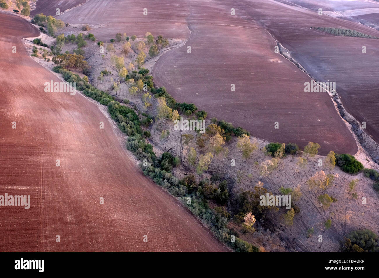 Aerial view of a gully landform in the Jezreel Valley a large fertile ...