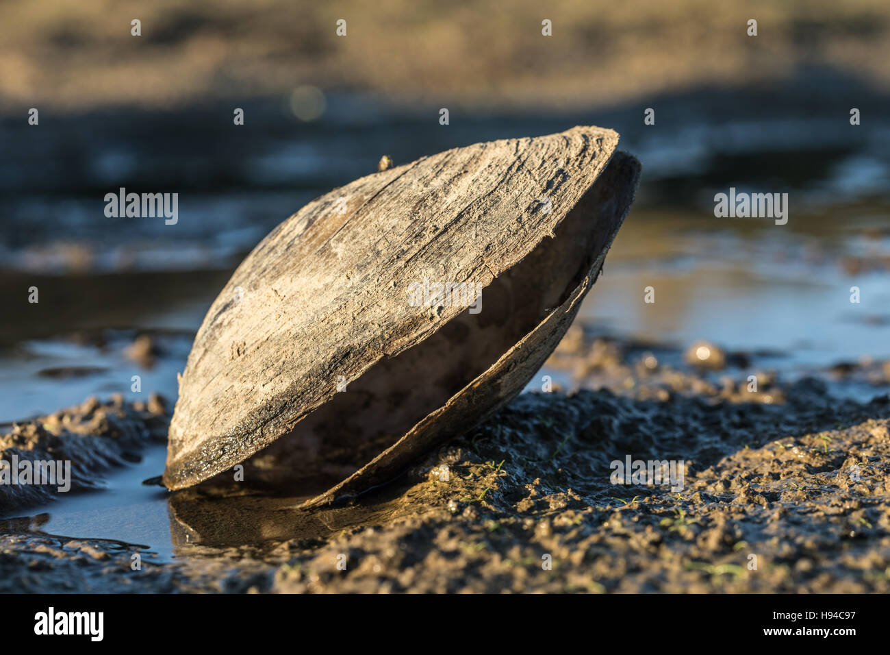 Large freshwater lake hi-res stock photography and images - Alamy