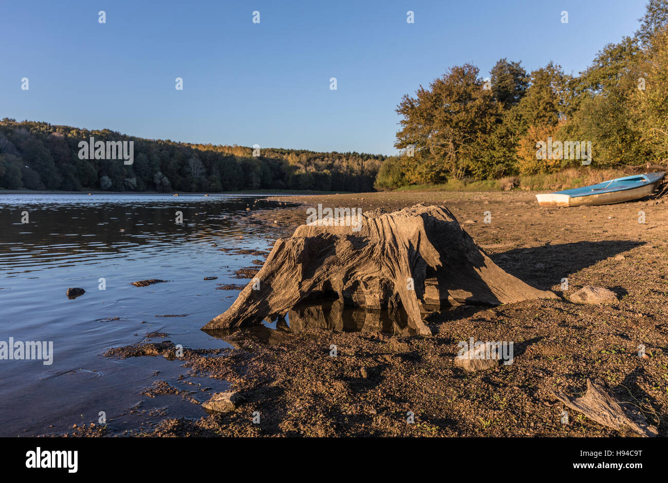 Stump lake hi-res stock photography and images - Alamy