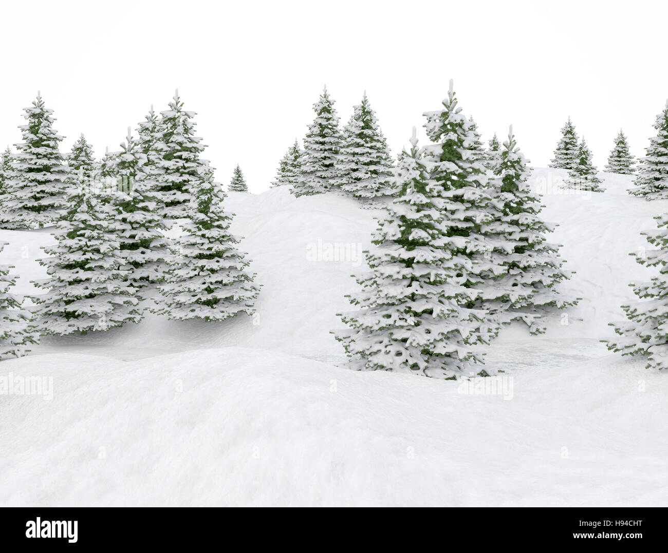 Winter landscape snow and pine trees isolated white background Stock ...