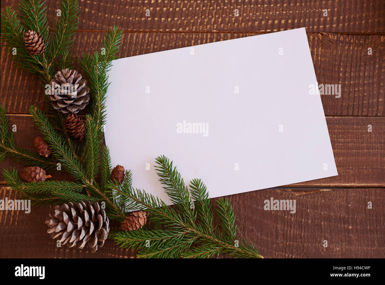 Piece od paper with branch and pine cones Stock Photo - Alamy