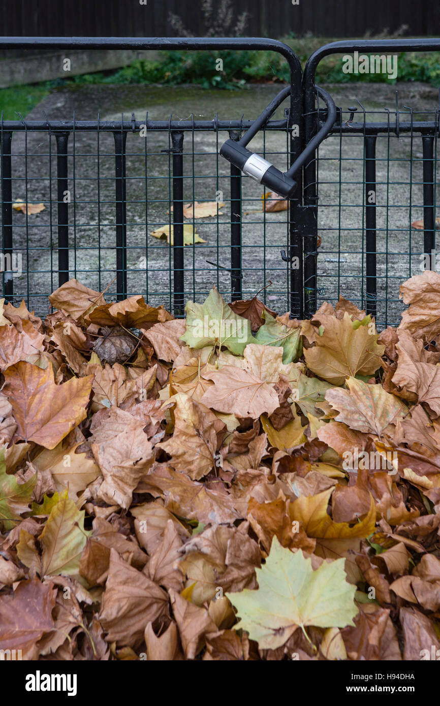 Dead autumn leaves piled up against an iron railing fence and gate ...