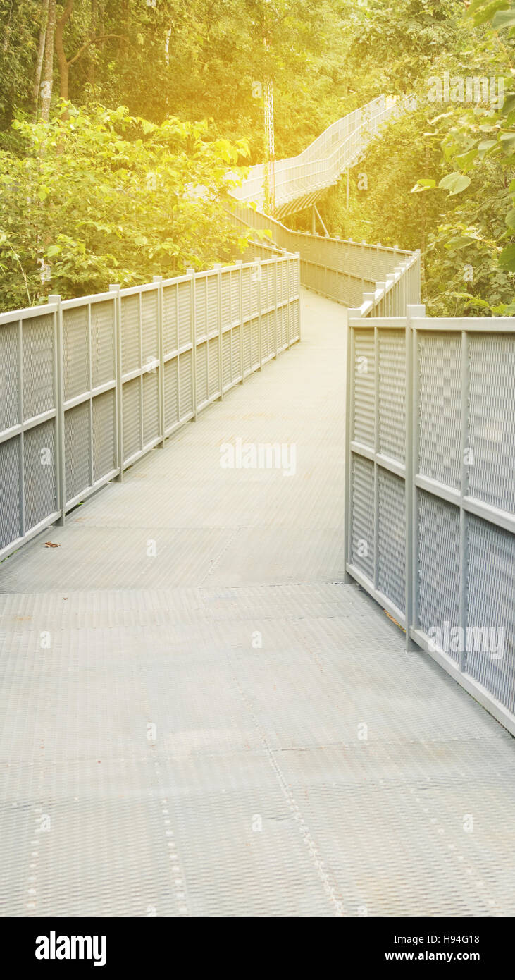 walkway footbridge with treetop view in park Stock Photo - Alamy