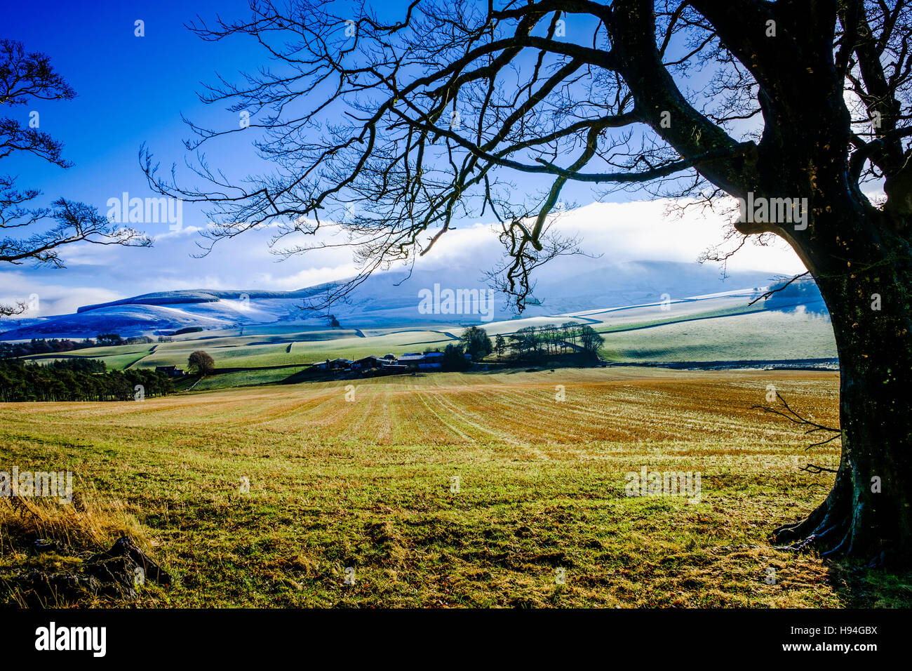 Borders scotland winter hi-res stock photography and images - Alamy