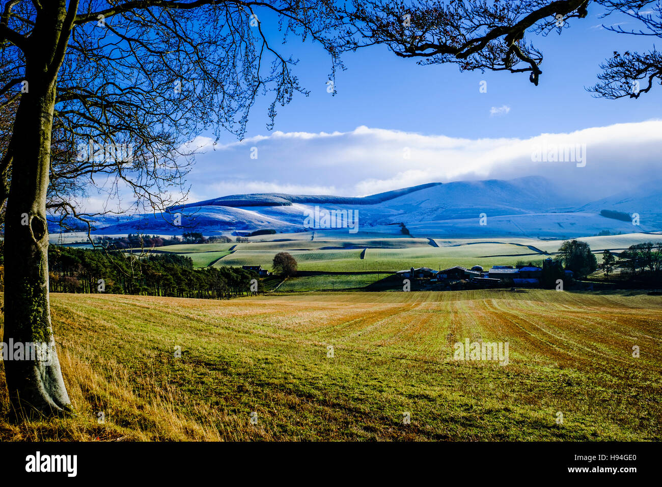 Winter landscape in the Scottish Borders near Broughton Stock Photo - Alamy