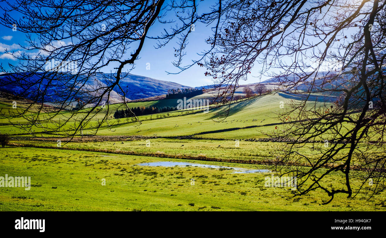 Borders scotland winter hi-res stock photography and images - Alamy