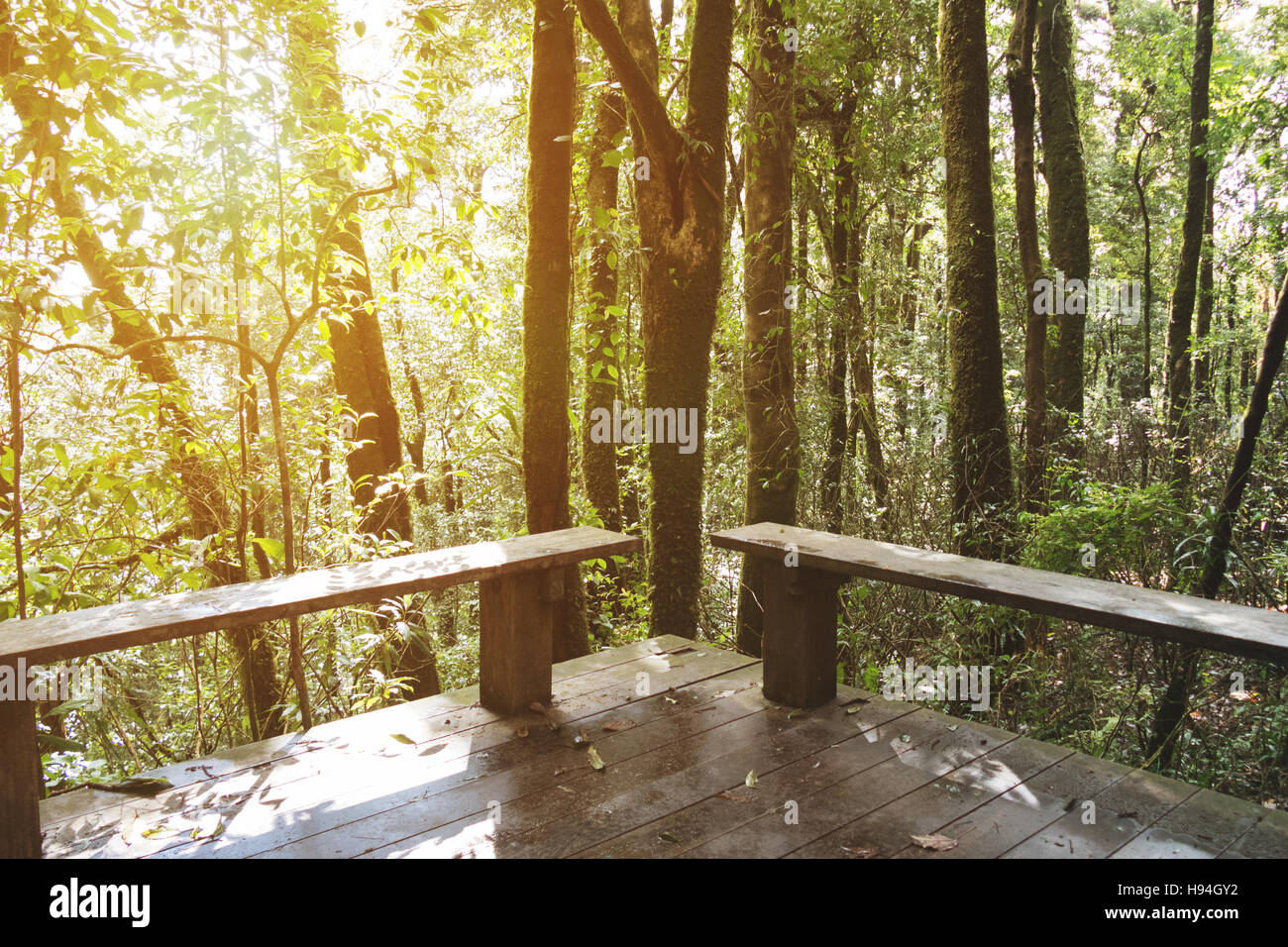 wood seat for relaxing in forest Stock Photo - Alamy
