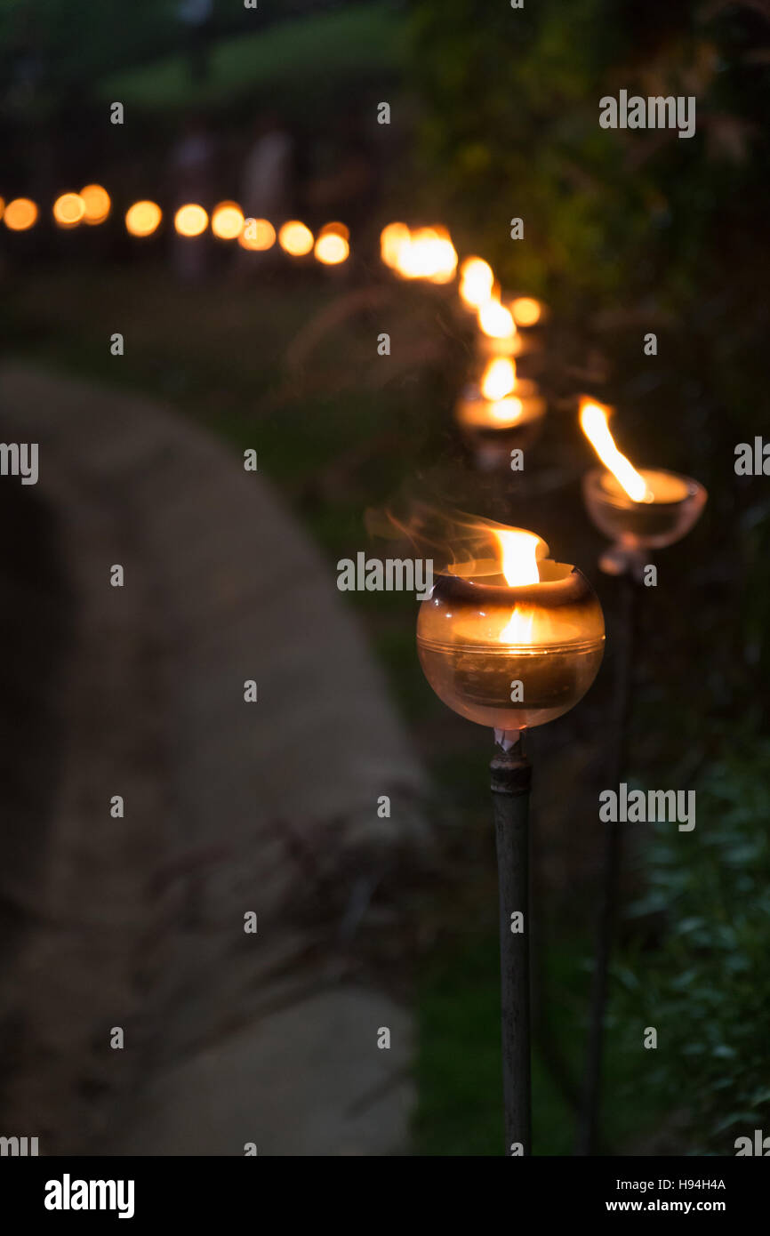 row of candle light in the park at night Stock Photo - Alamy