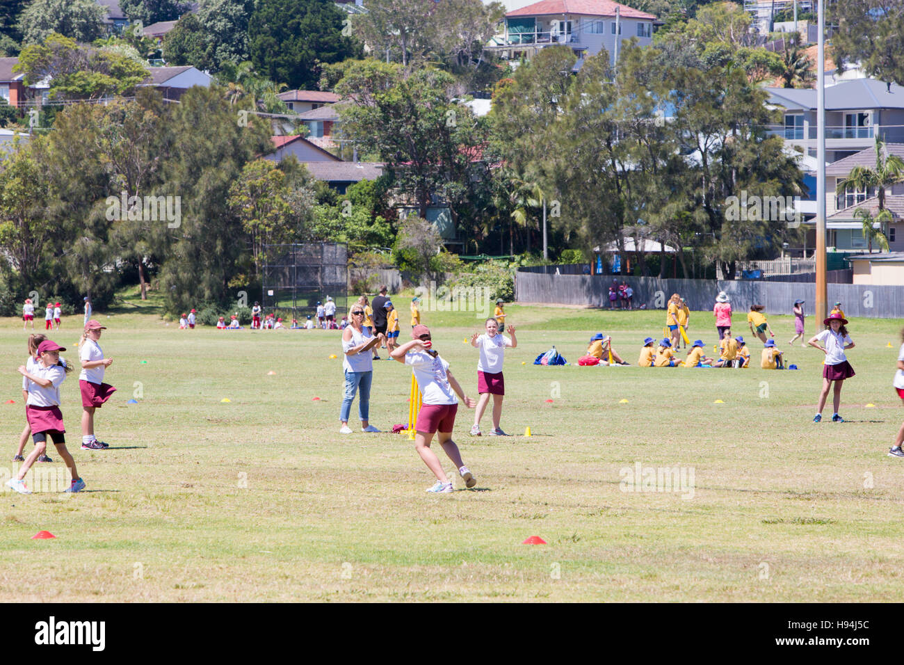 Sydney sporting contest hi-res stock photography and images - Alamy