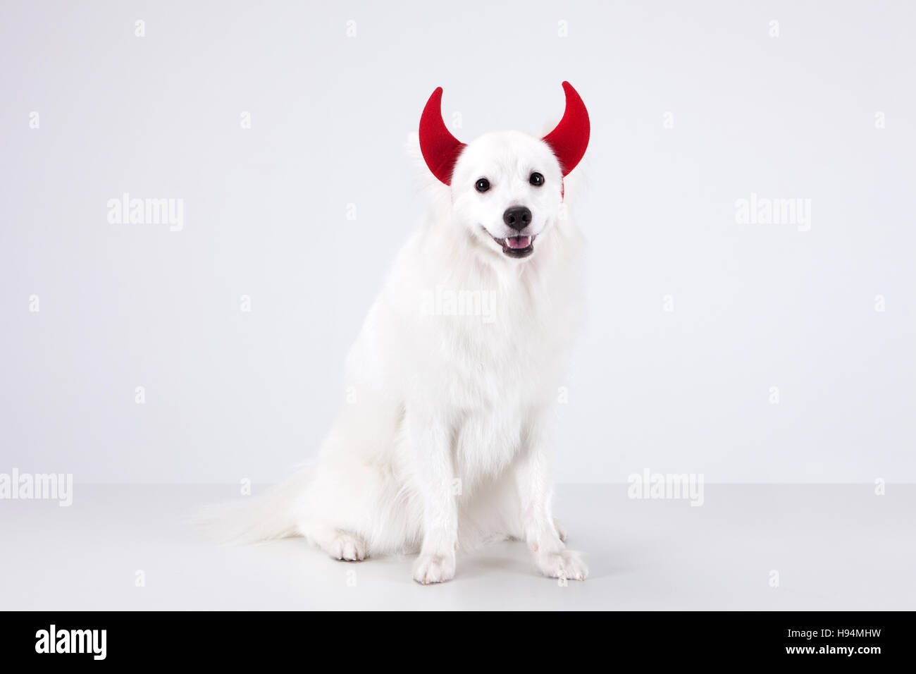 Animal crowd cheering hi-res stock photography and images - Alamy