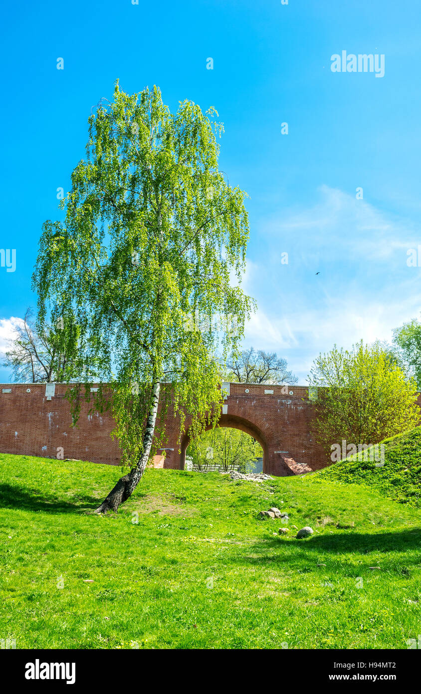 The Greenhouse Bridge over the ravine with the scenic birch tree on the ...