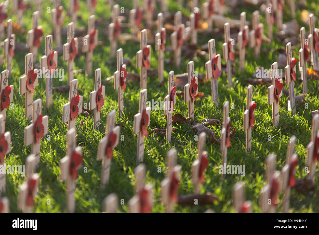 City of Edinburgh, Scotland. Display of Remembrance Day crosses and ...