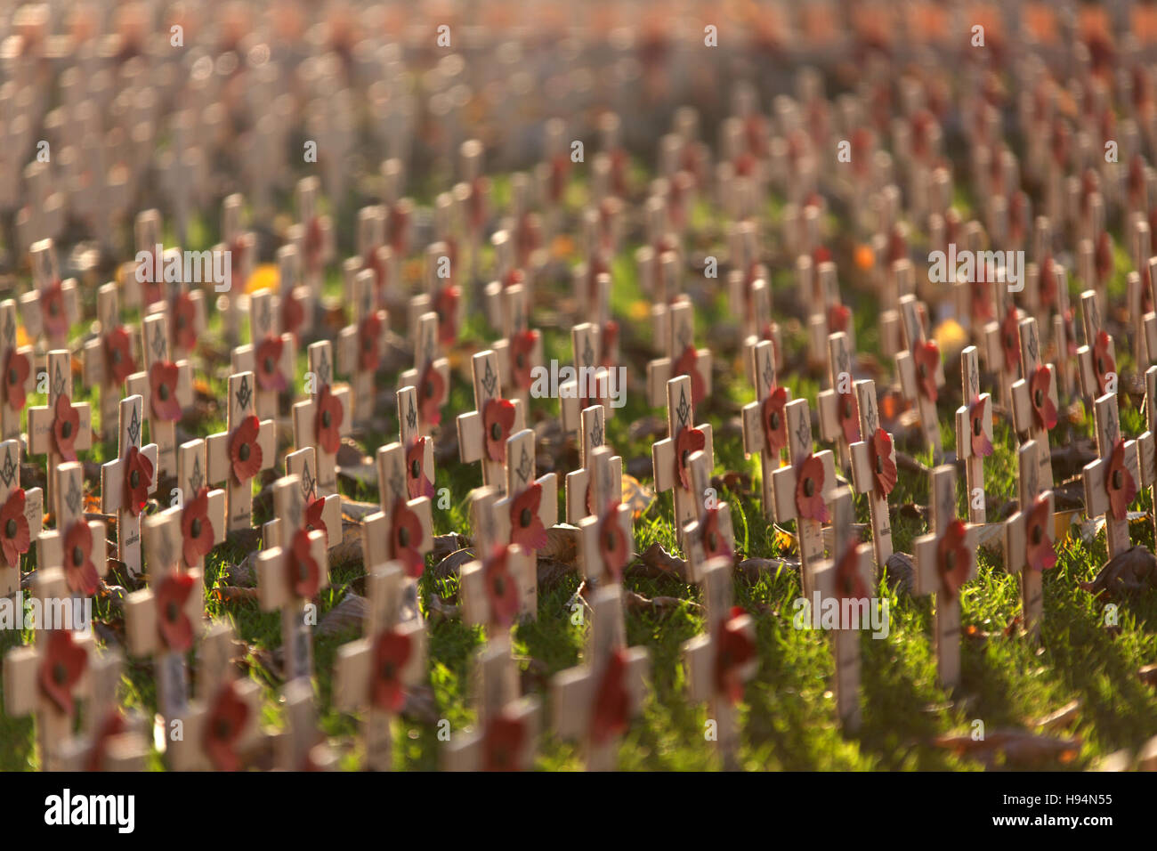 City of Edinburgh, Scotland. Display of Remembrance Day crosses and ...