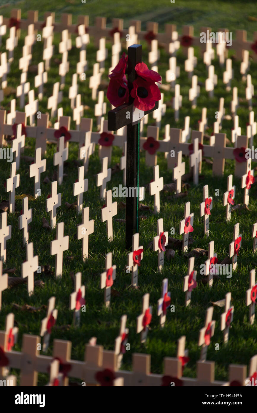 City of Edinburgh, Scotland. Display of Remembrance Day crosses and ...