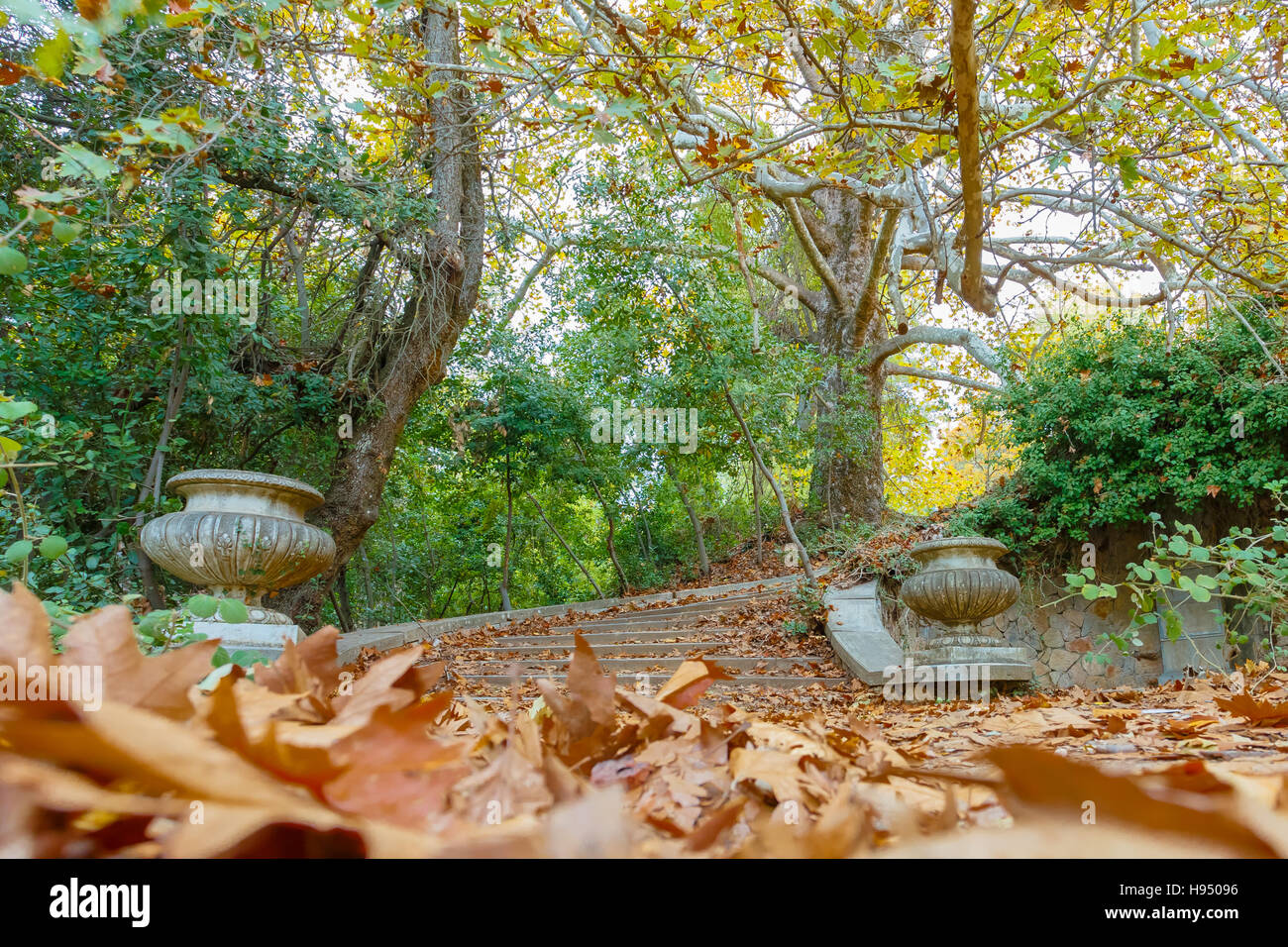 Tatoi Palace ruins in Greece, the summer palace and 10,000 acre estate ...