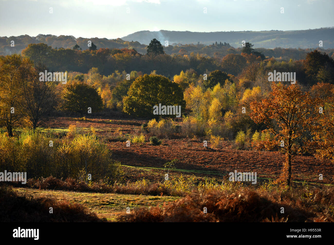 North chailey hi-res stock photography and images - Alamy