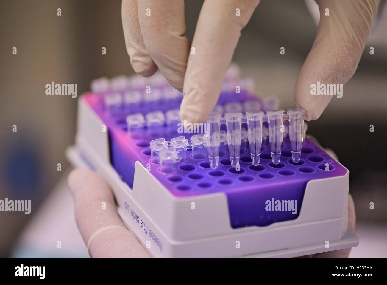 Molecular probes hi-res stock photography and images - Alamy