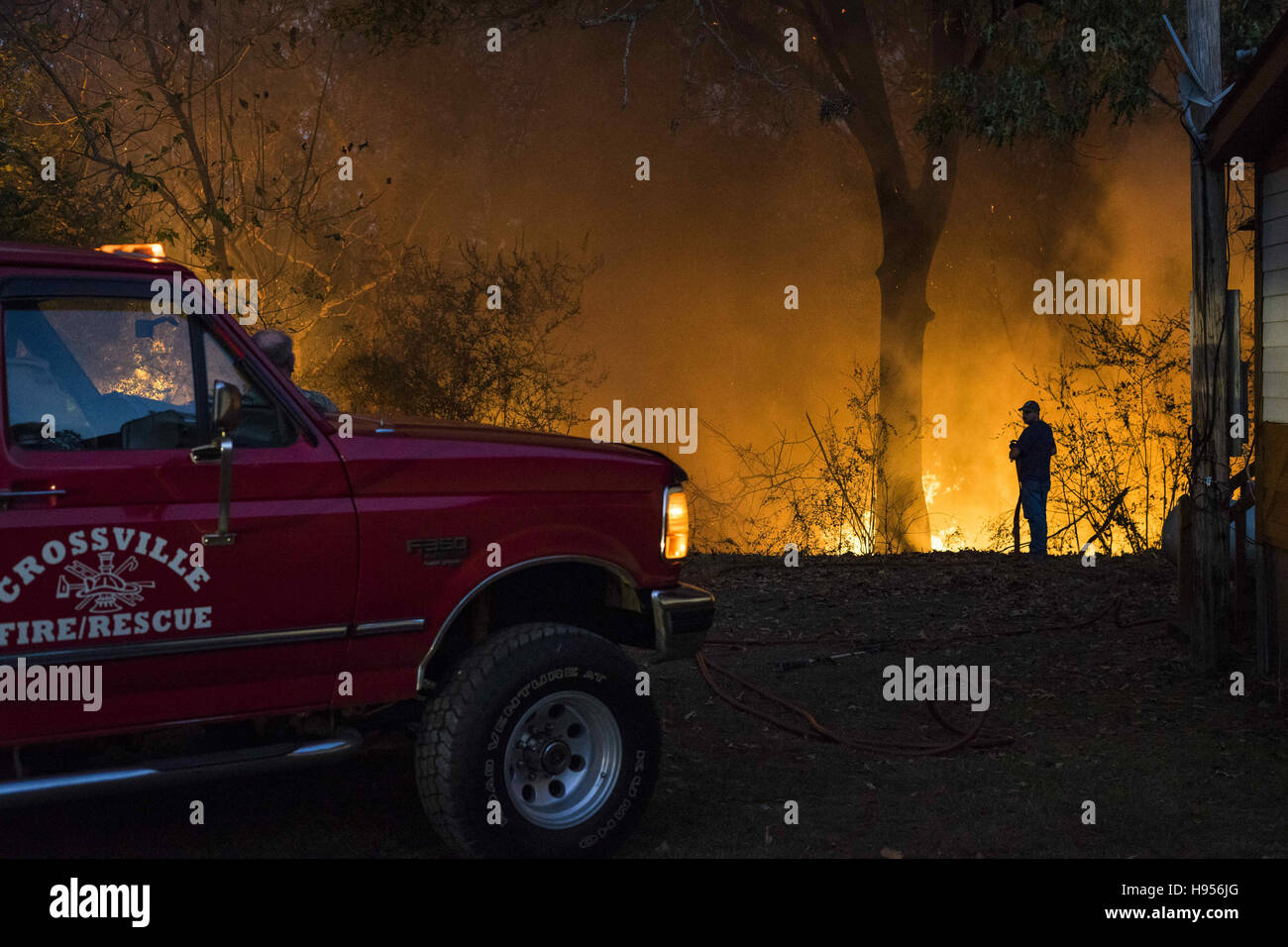 Brought worst hi-res stock photography and images - Alamy