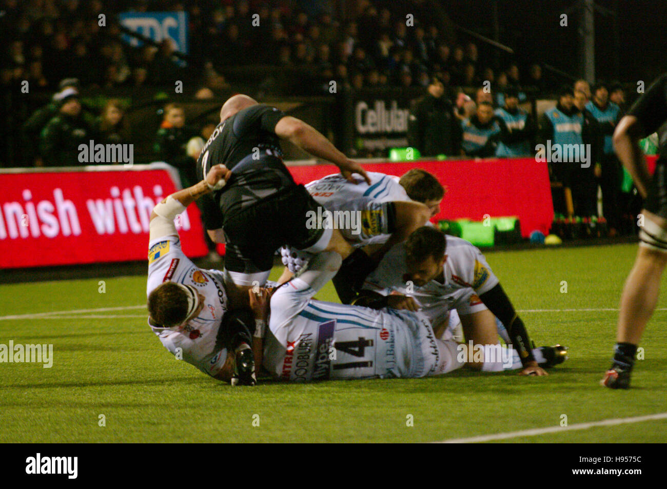 Newcastle falcons scott lawson hi-res stock photography and images - Alamy