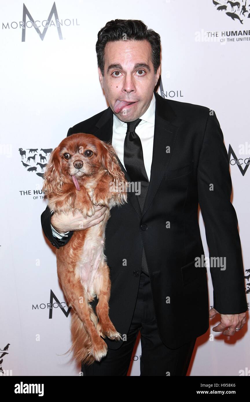 New York, NY, USA. 18th Nov, 2016. Mario Cantone at The Humane Society ...