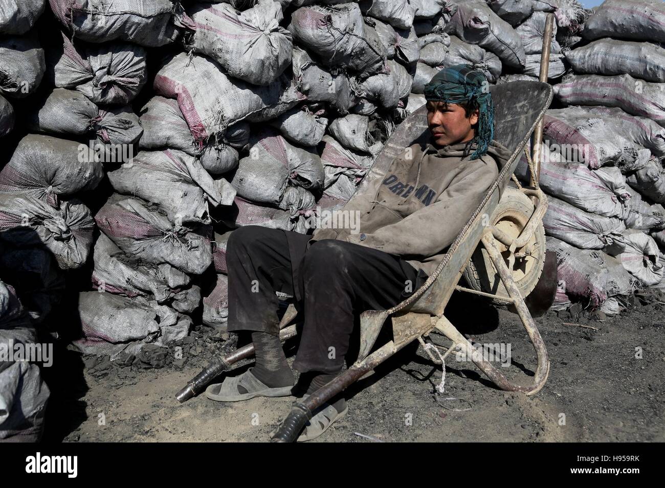 Kabul, Afghanistan. 19th Nov, 2016. An Afghan labor sits on a pushcart ...