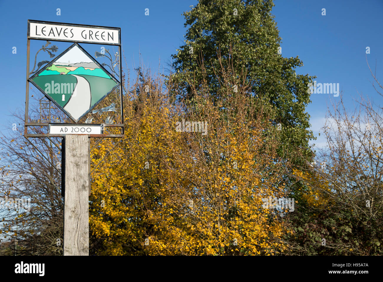 Leaves Green, UK. 19th Nov, 2016. UK, Weather, Autumn Colours in the ...