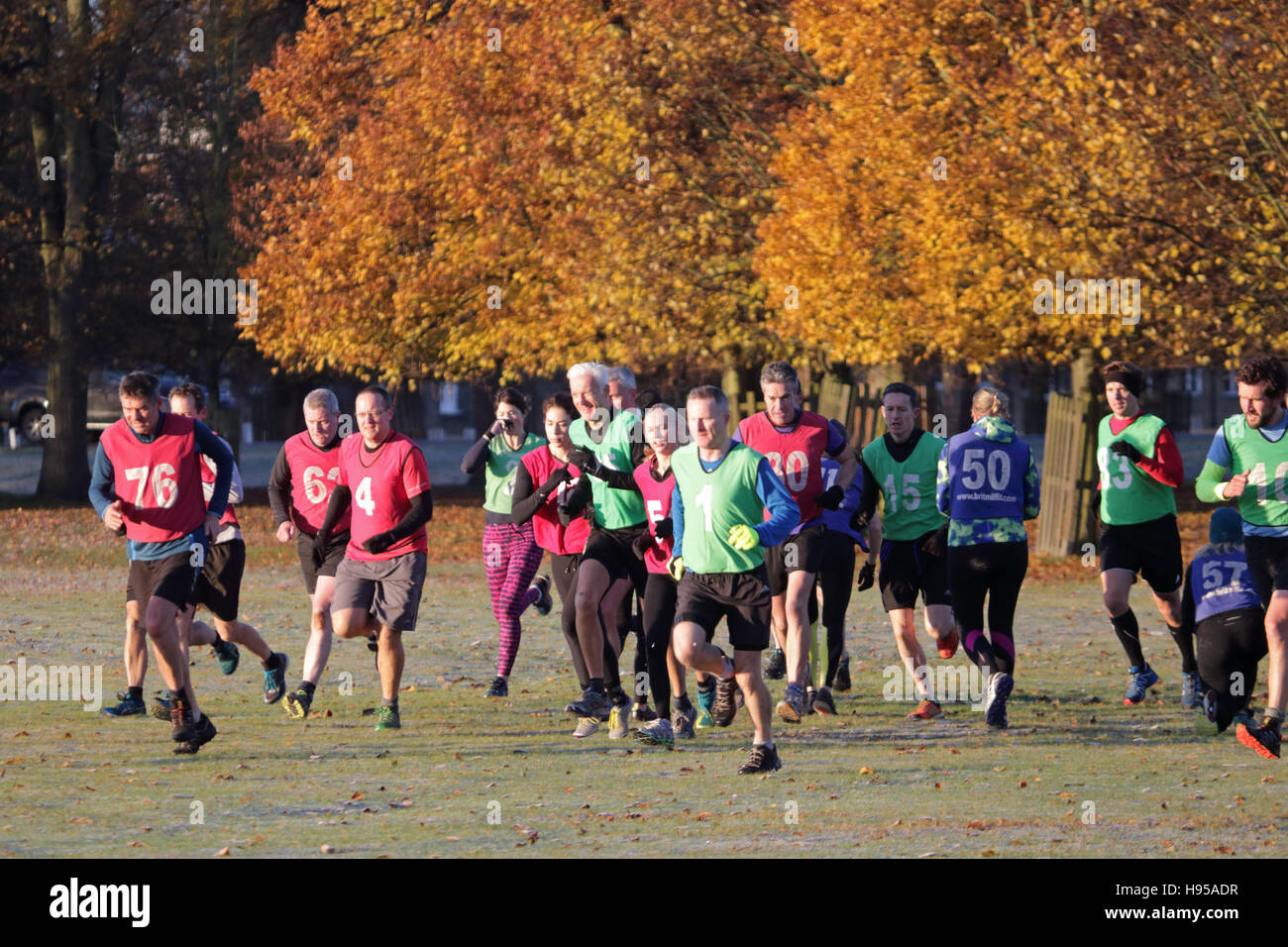 Bushy Park, London, UK. 19th Nov, 2016. Participants of the boot camp ...