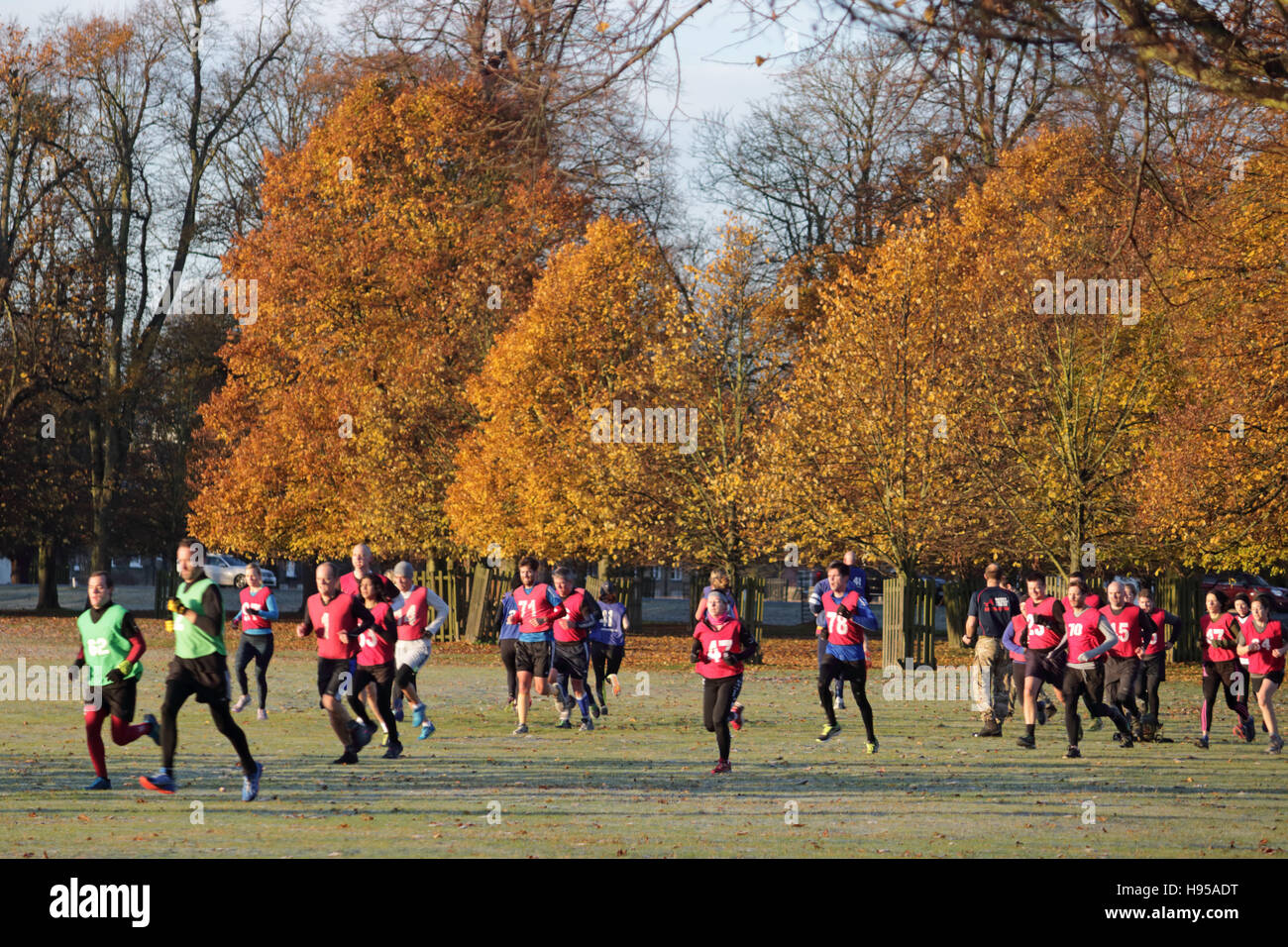 Bushy Park, London, UK. 19th Nov, 2016. Participants of the boot camp ...