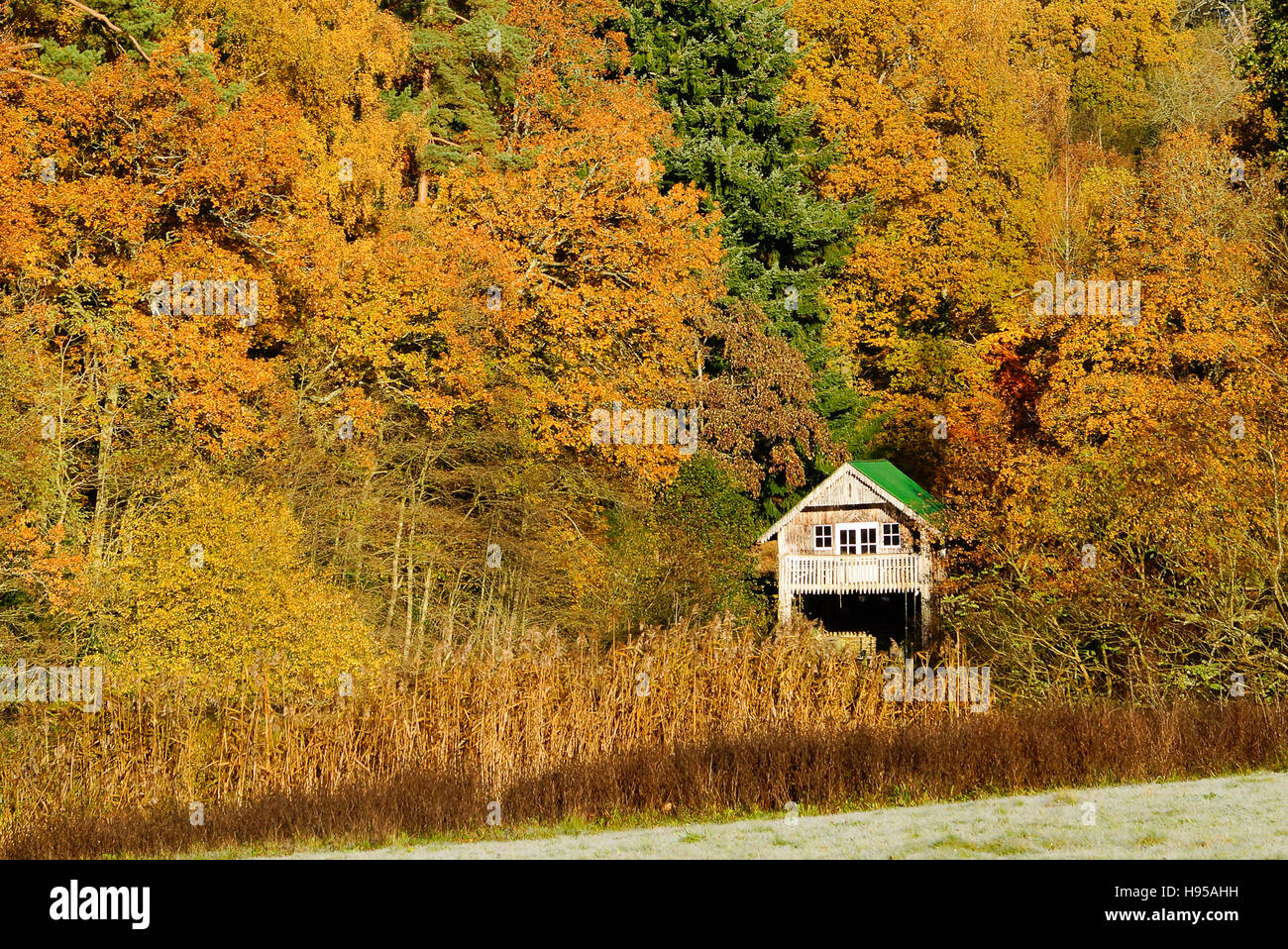 UK Weather 19th November 2016: Crisp and dry conditions started the ...