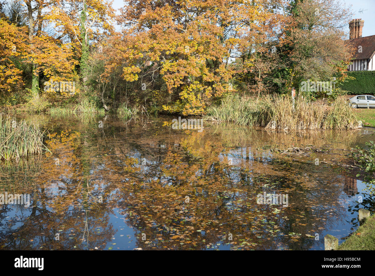 Four Elms, Kent, UK. 19th Nov, 2016. UK, Weather, Reflections in the ...
