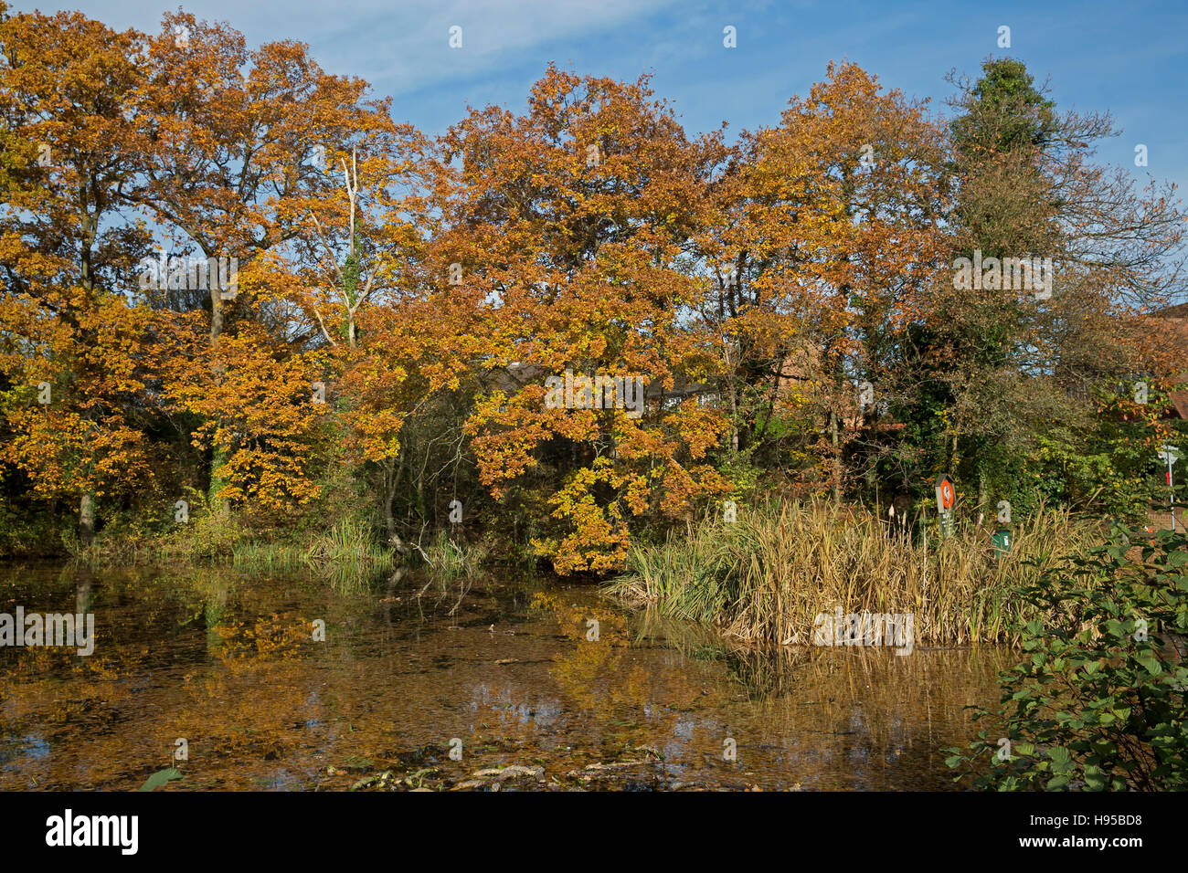 Four Elms, Kent, UK. 19th Nov, 2016. UK, Weather, Reflections in the ...