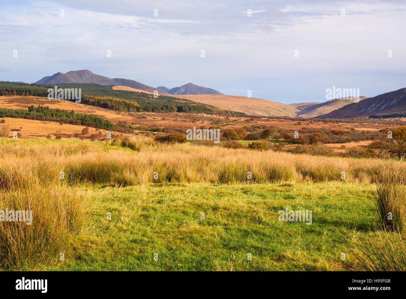 Machrie Moor, Isle of Arran, North Ayrshire, Scotland Stock Photo - Alamy