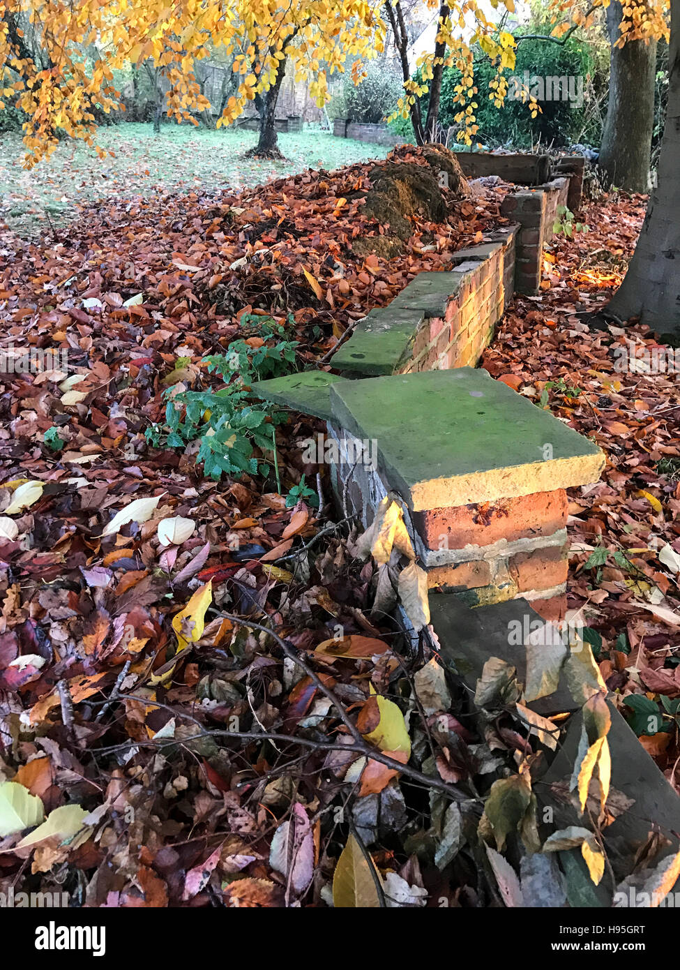 Garden wall with autumn leaves and orchard Stock Photo - Alamy