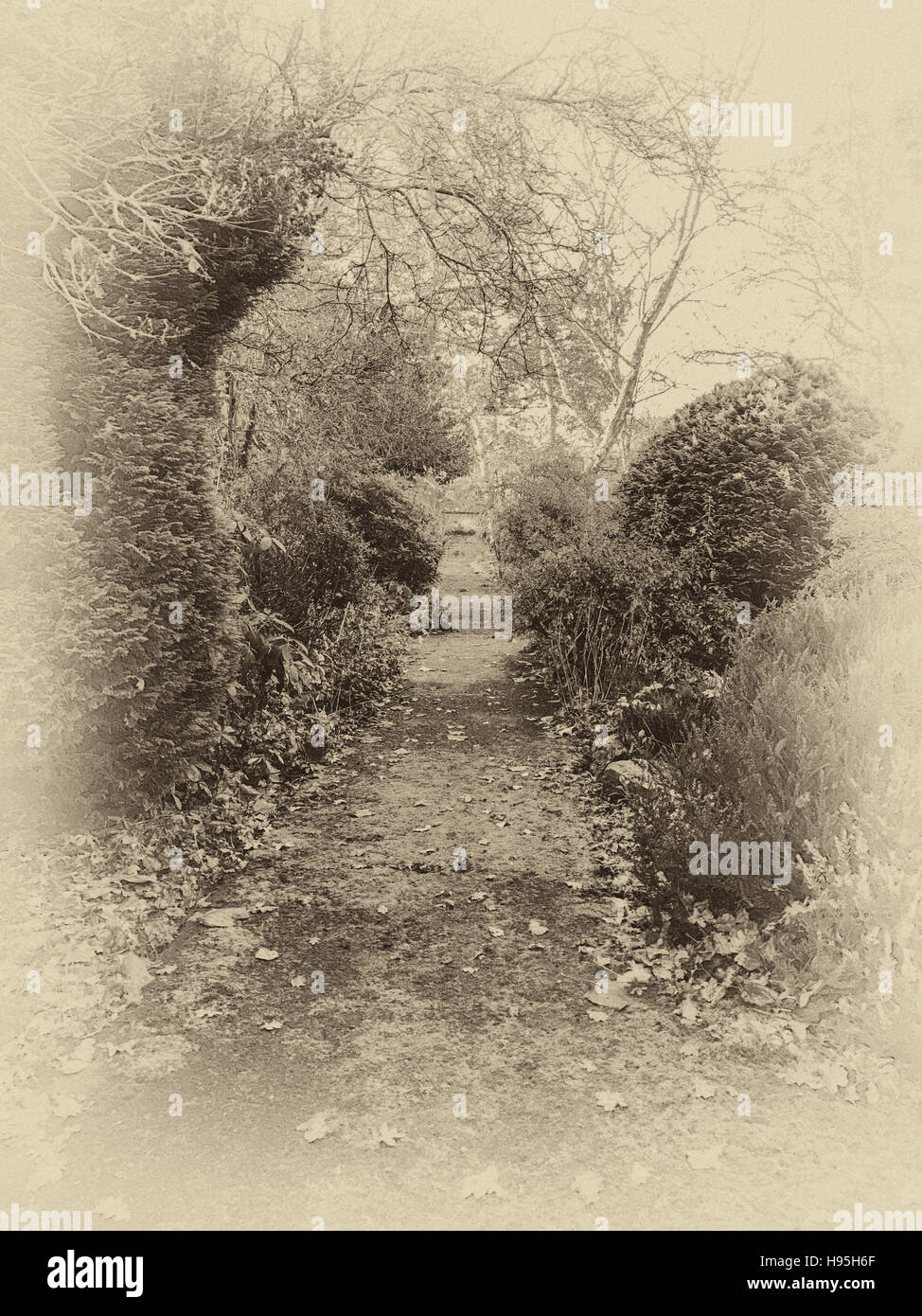 Autumn garden path Stock Photo - Alamy