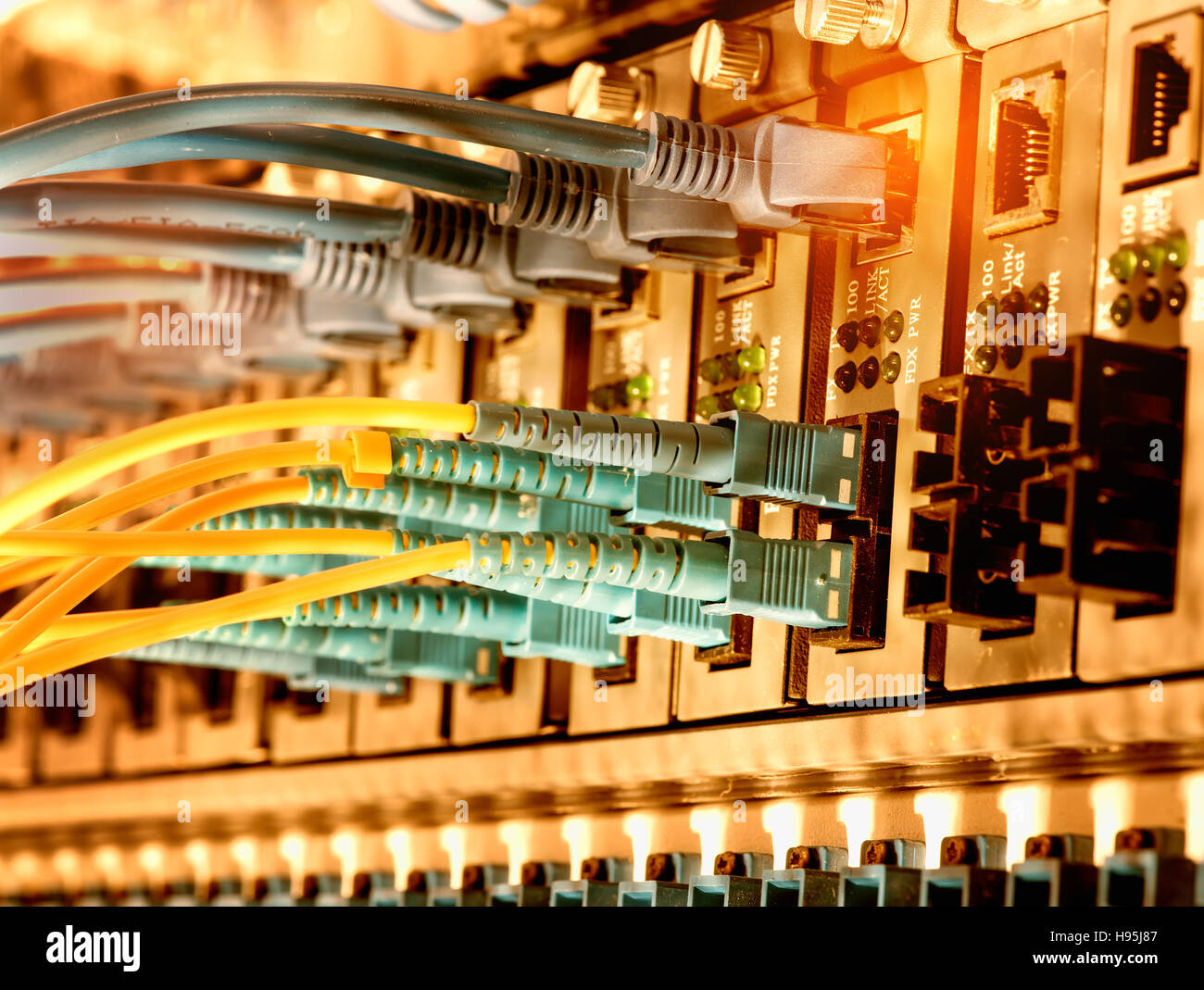 Fiber Optic cables connected to an optic ports and Network cables ...