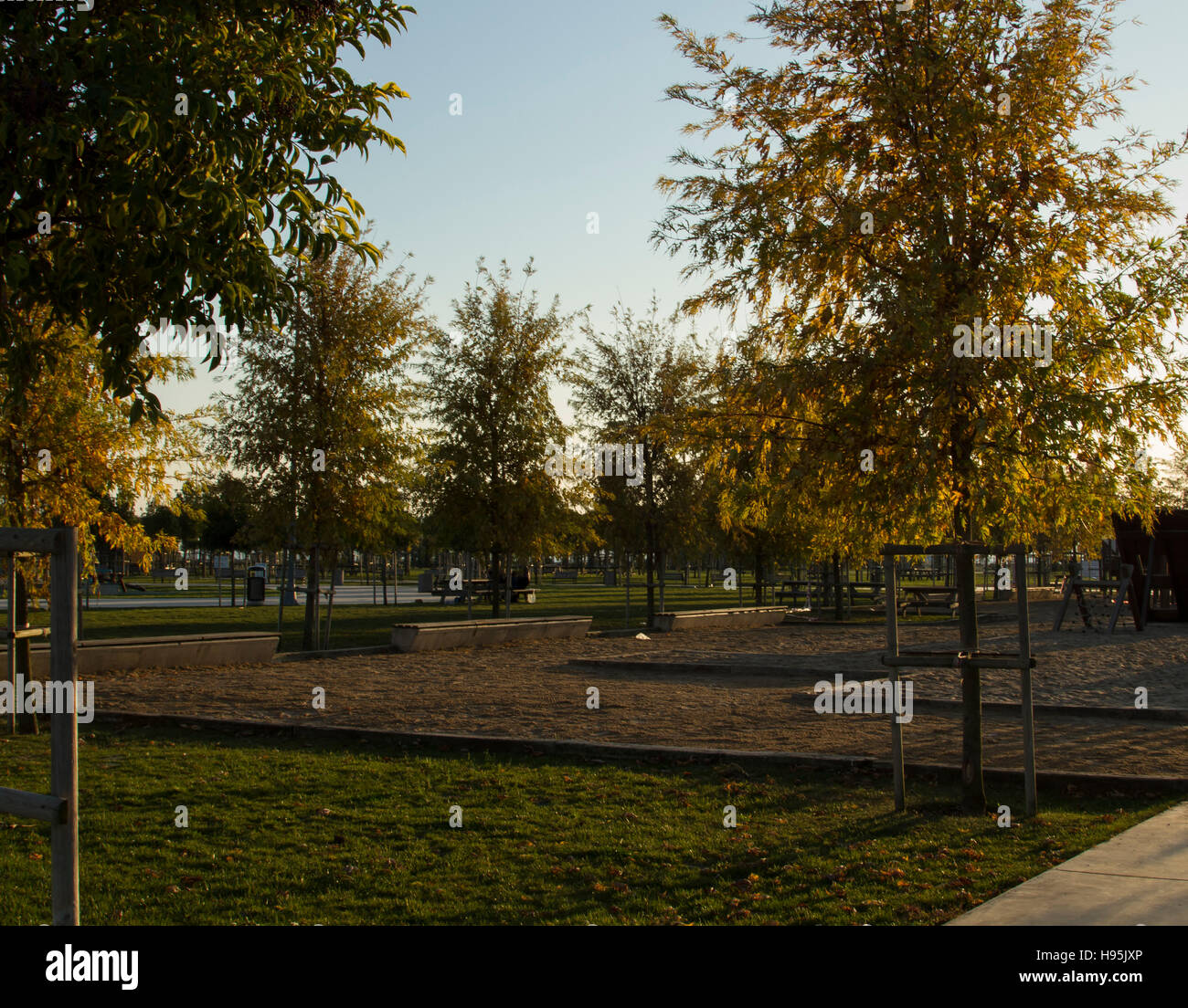 The empty park with trees and green grass Stock Photo - Alamy