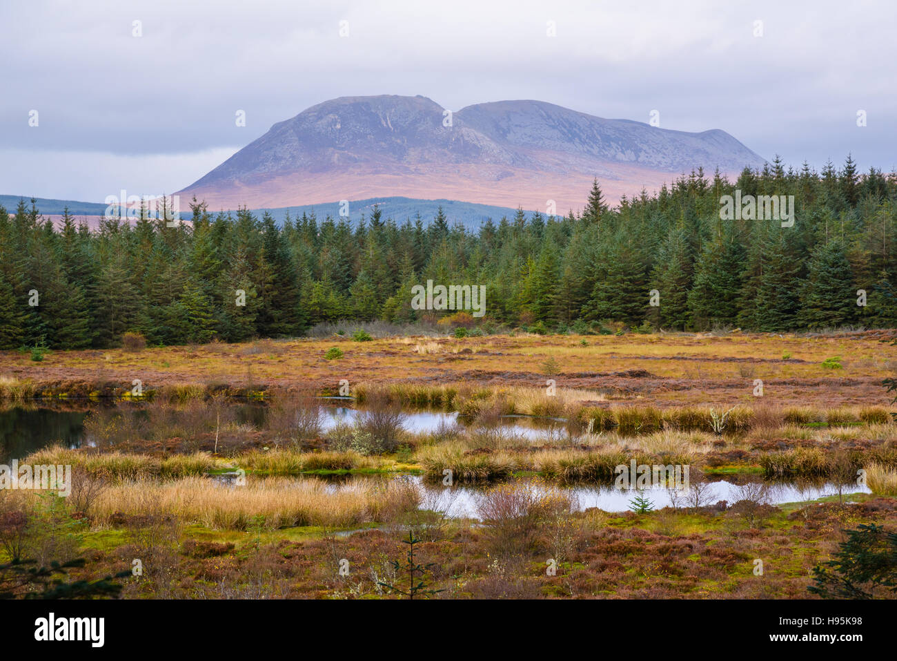 View of Beinn Bharrain and the Pirnmill hills, Isle of Arran, North ...