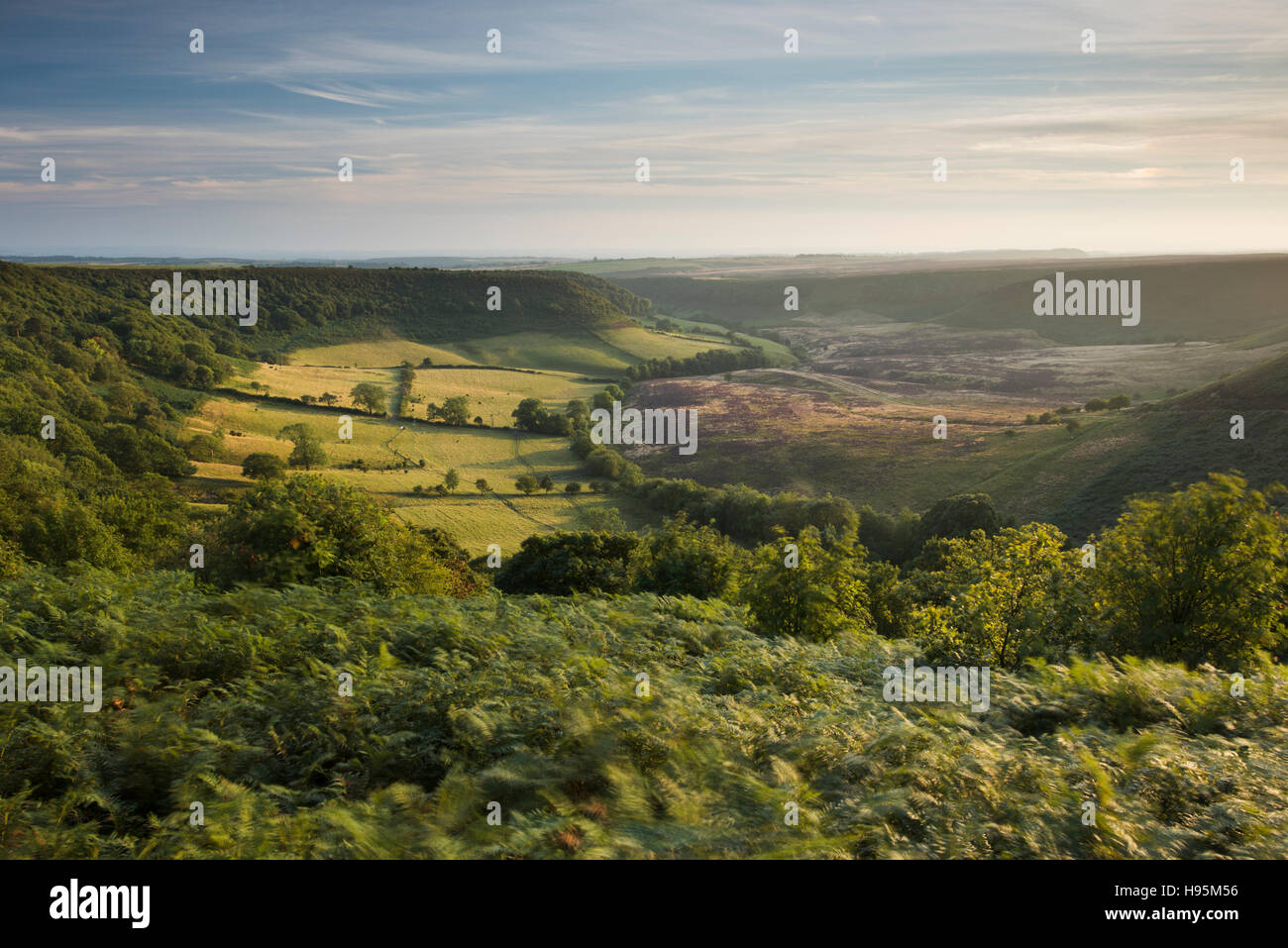 Saltergate High Resolution Stock Photography and Images - Alamy