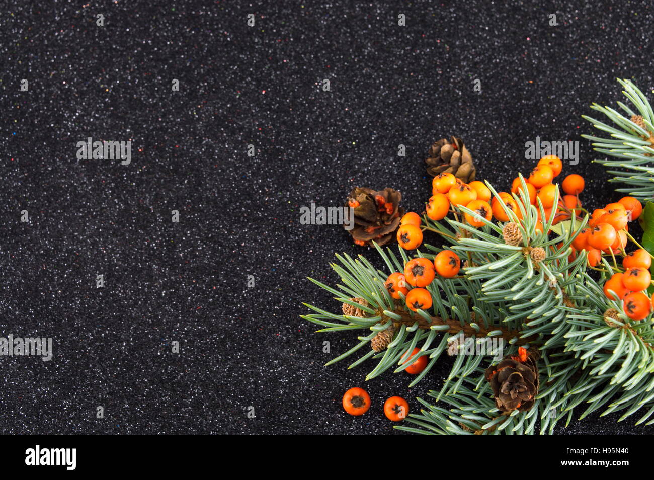 Mistletoe and fir tree on dark shiny background. Christmas time Stock ...