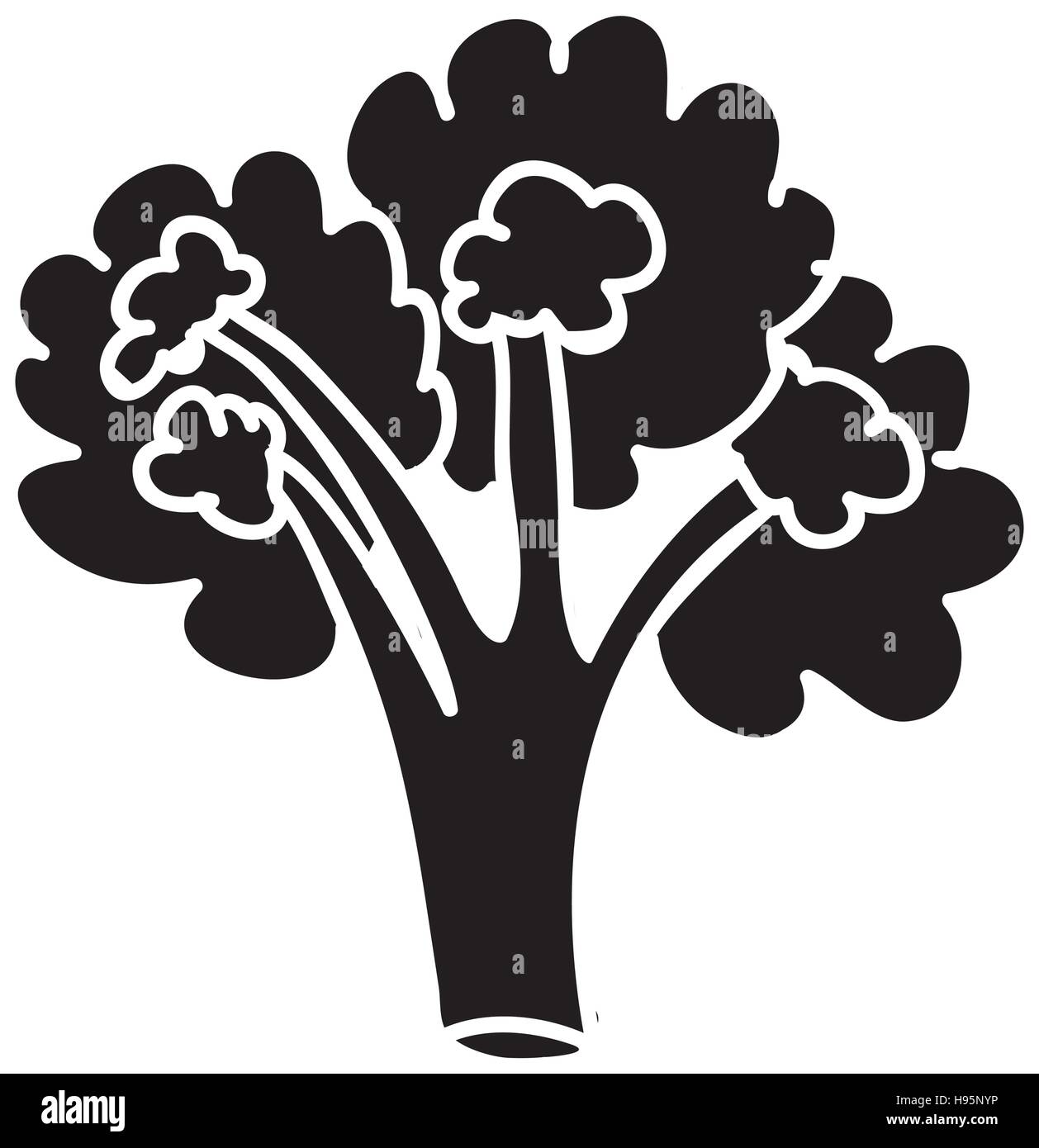 Contour vegetable broccoli icon Stock Vector Images - Alamy