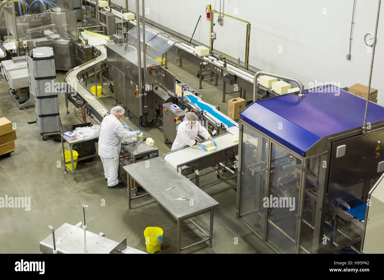 Cheese Packaging Equipment