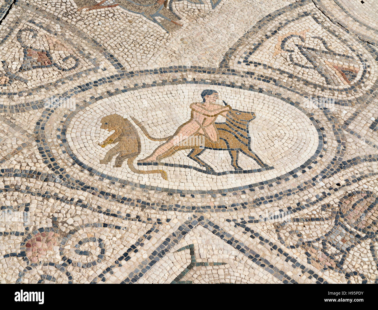 Bull ancient mosaic hi-res stock photography and images - Alamy