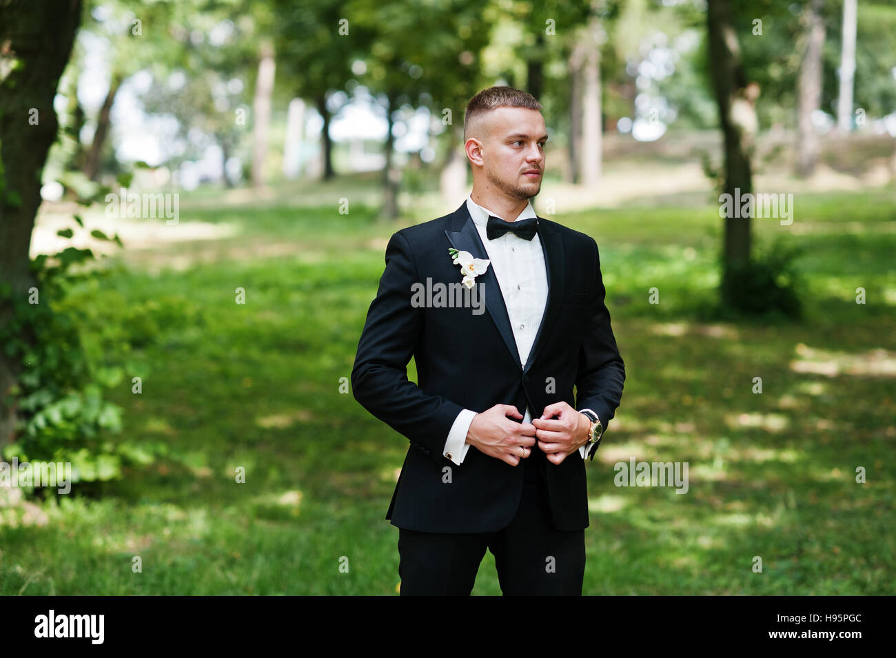 Trendy beard man groom with bow tie posed on park Stock Photo - Alamy