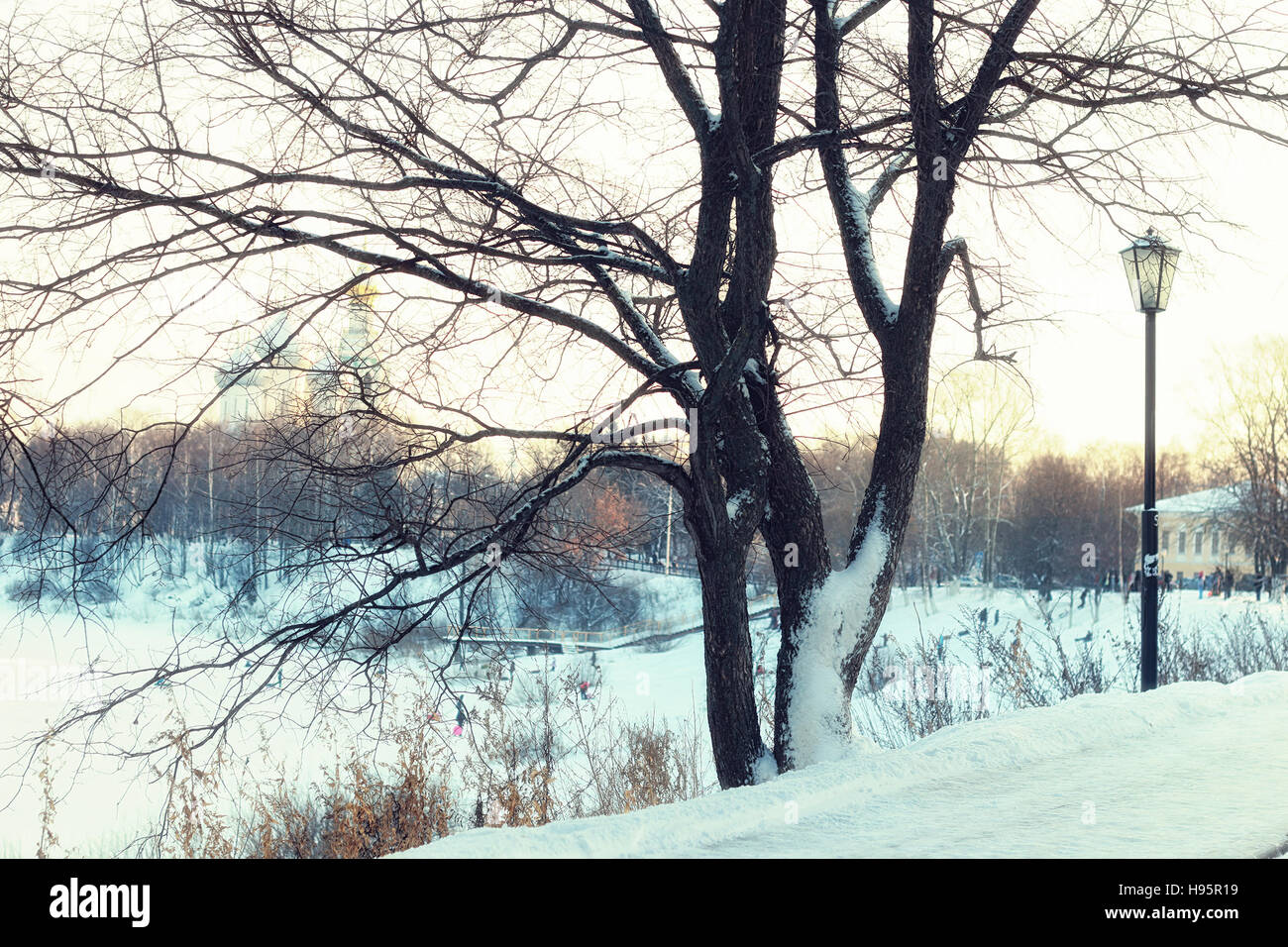 Winter street light tree Stock Photo - Alamy