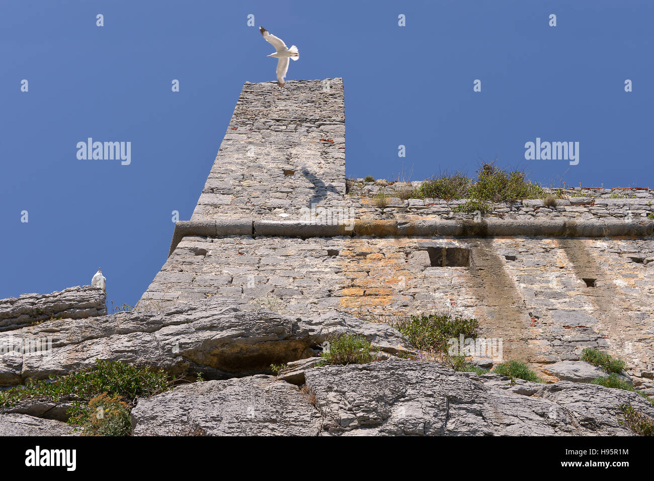 Porto castle hi-res stock photography and images - Alamy