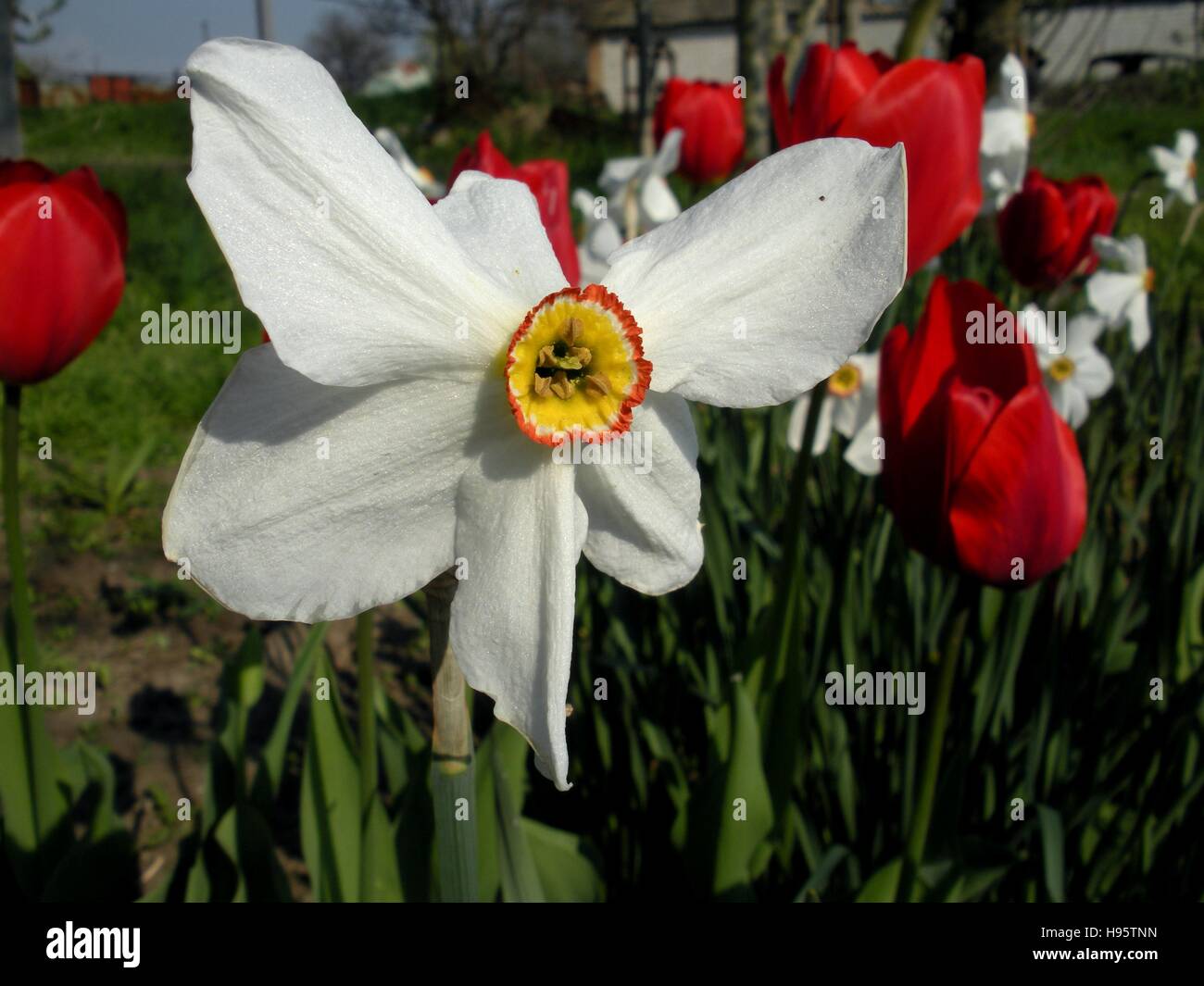 Poetic diversity hi-res stock photography and images - Alamy