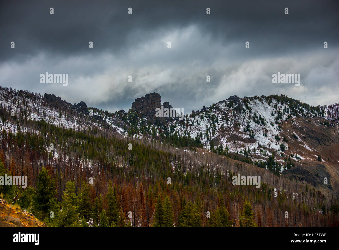 Strawberry Mountain Wilderness, Malheur National Forest, Oregon Stock ...