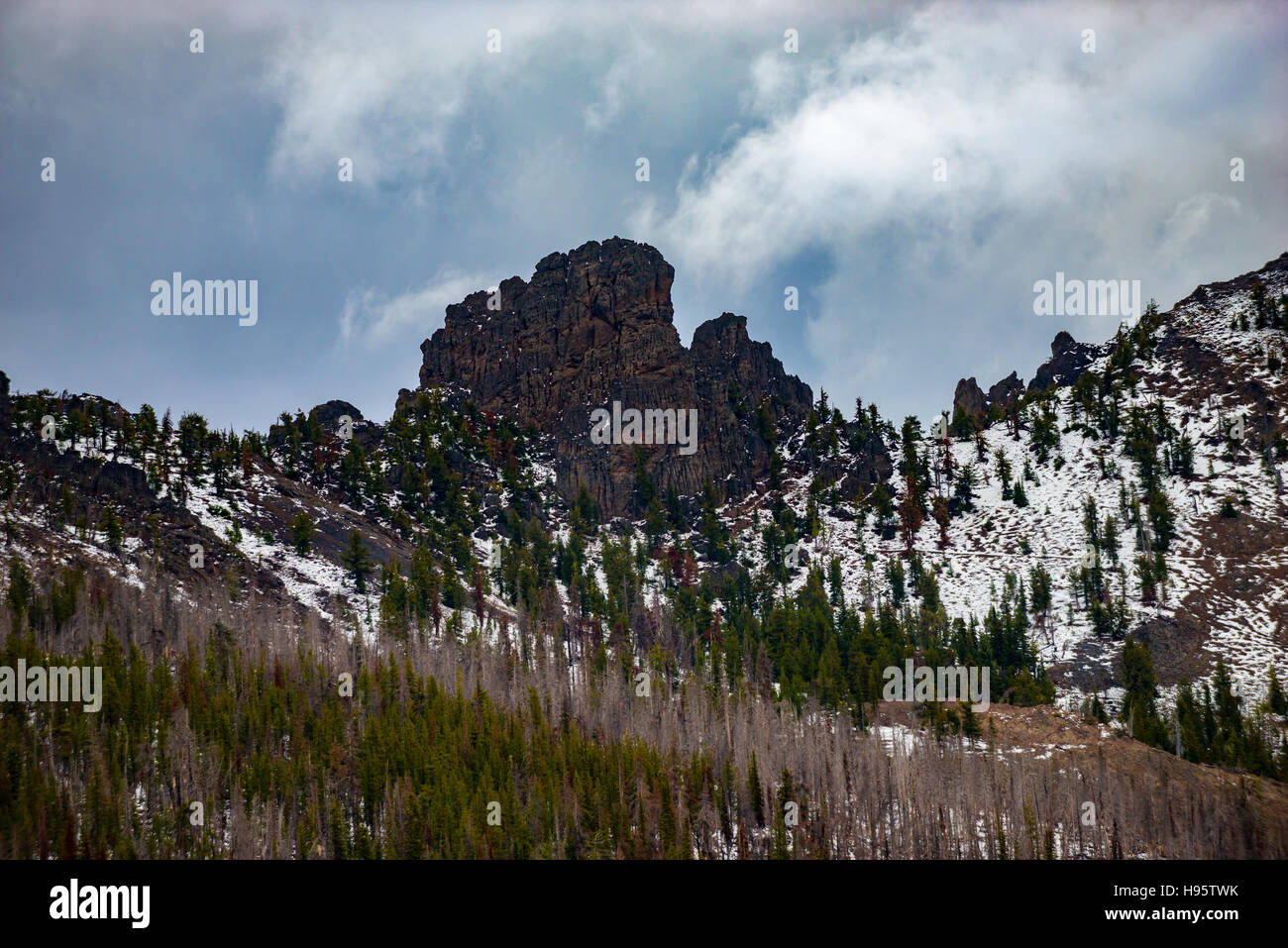 Strawberry Mountain Wilderness, Malheur National Forest, Oregon Stock ...
