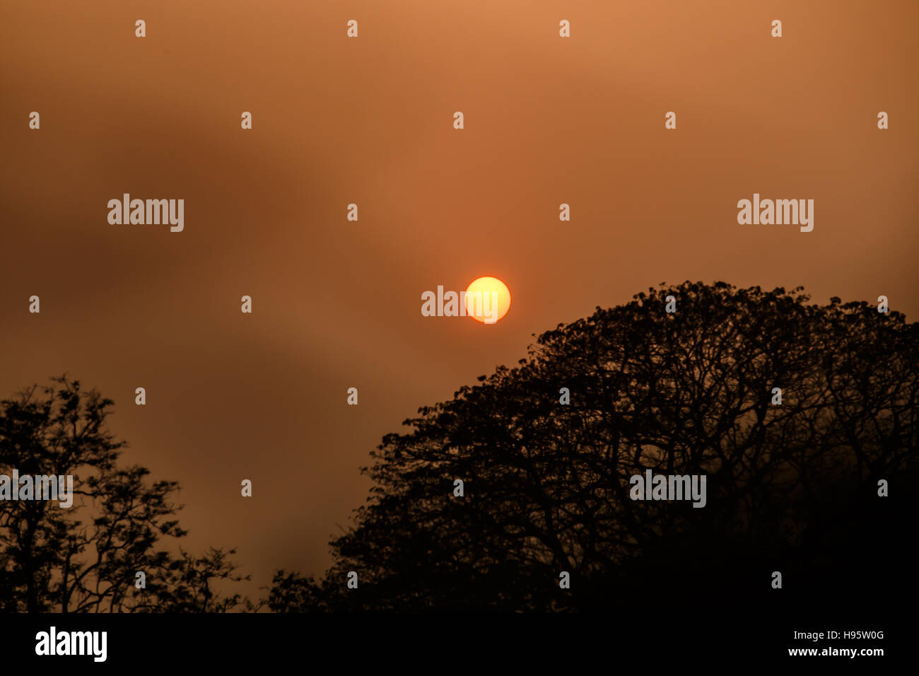 Brick wall sunset Stock Photo - Alamy